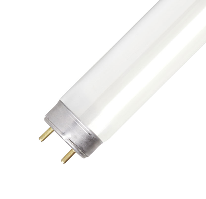 T8 Fluorescent Tube 18W 2FT Warm White (830) - Lamp Station